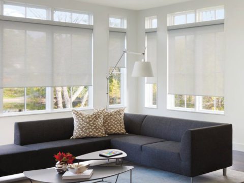 Hunter Douglas Designer Screen Shades