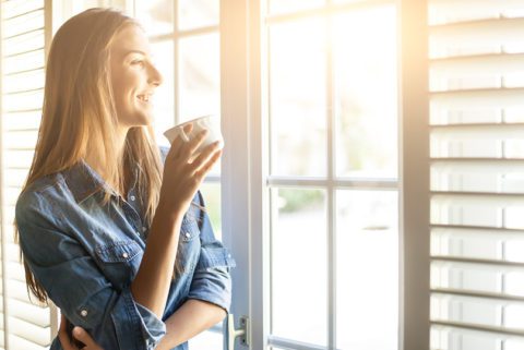 4 Reasons Why Shutters are the Best Window Treatments for Casement Windows - Louver Shop Shutters